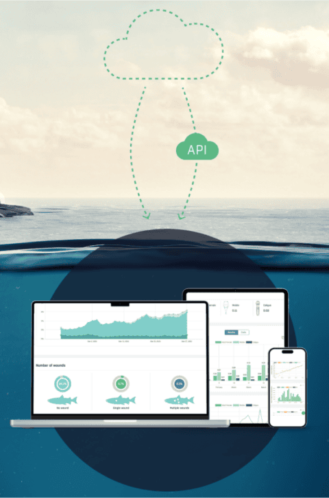 How it works – OptoScale