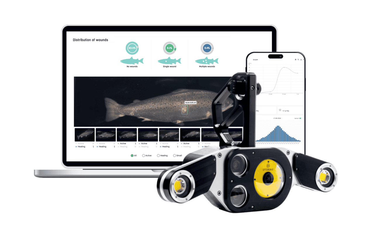 Lakseeventyr med Andfjord Salmon og OptoScale | OptoScale