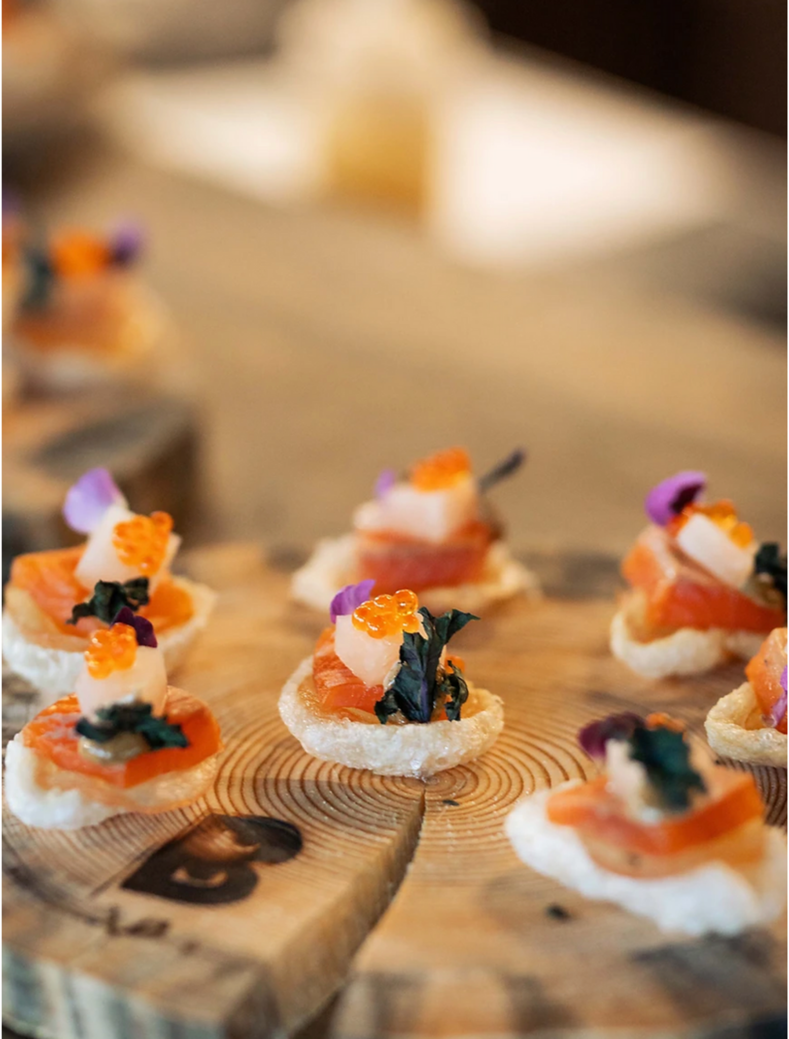 Aquanor – releaseparty | OptoScale