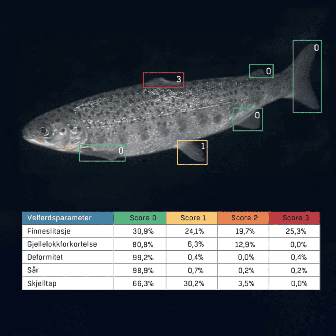 Aqua Nor 2025 | OptoScale