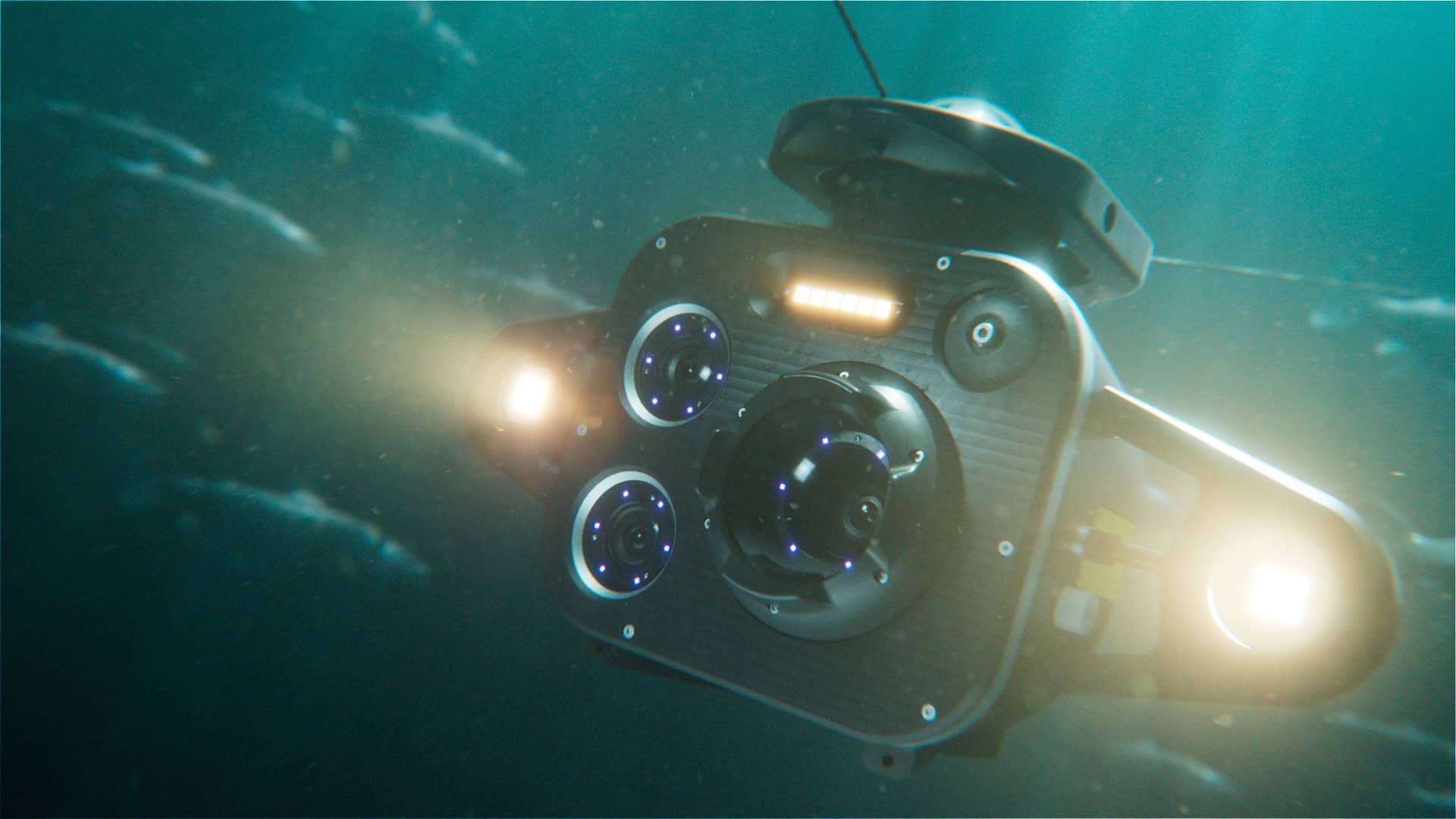 OptoScale | Real-time measurements of lice, weight, and health