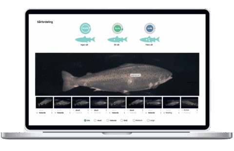 Produkter - OptoScale