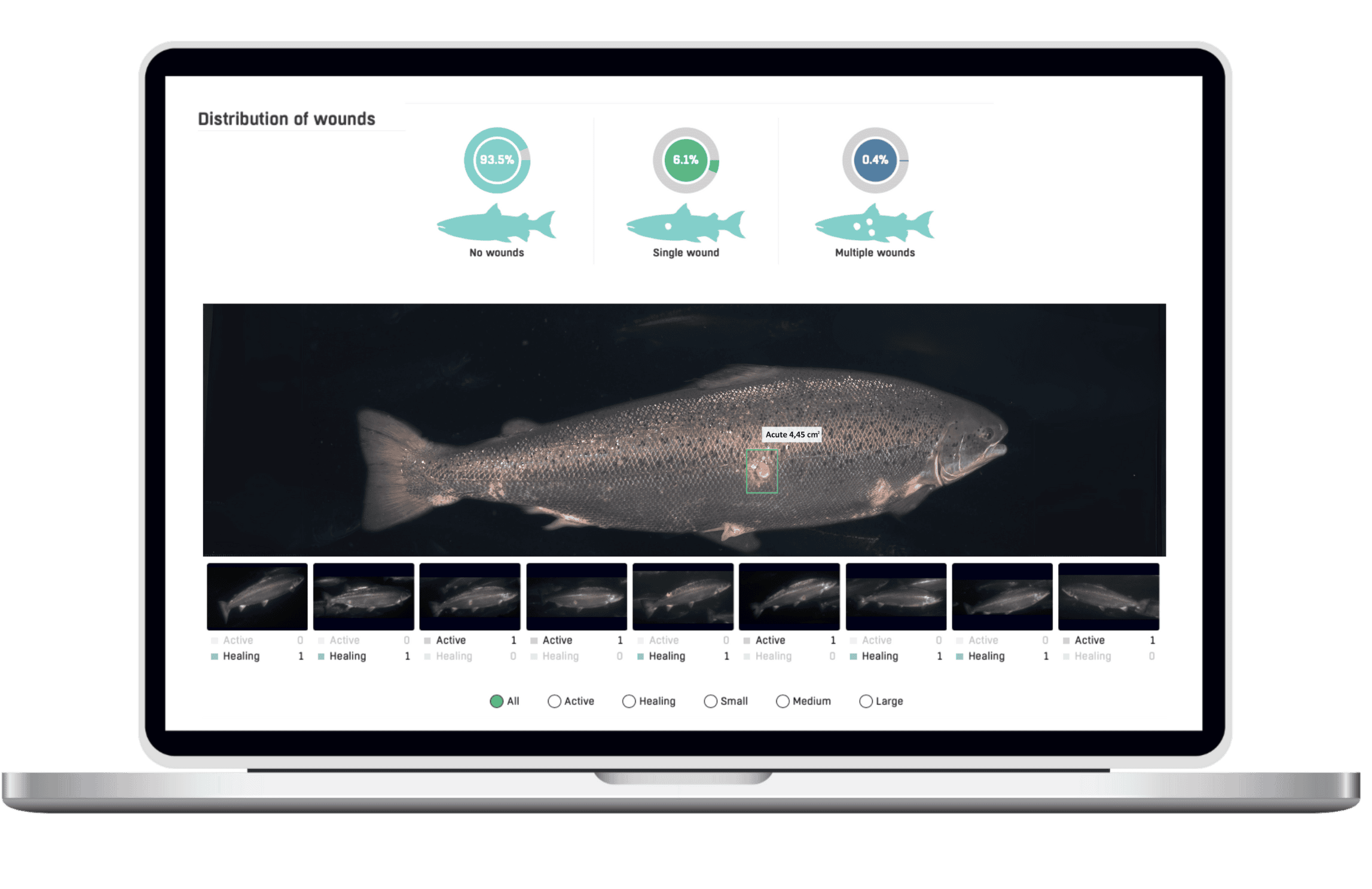 Our products | OptoScale