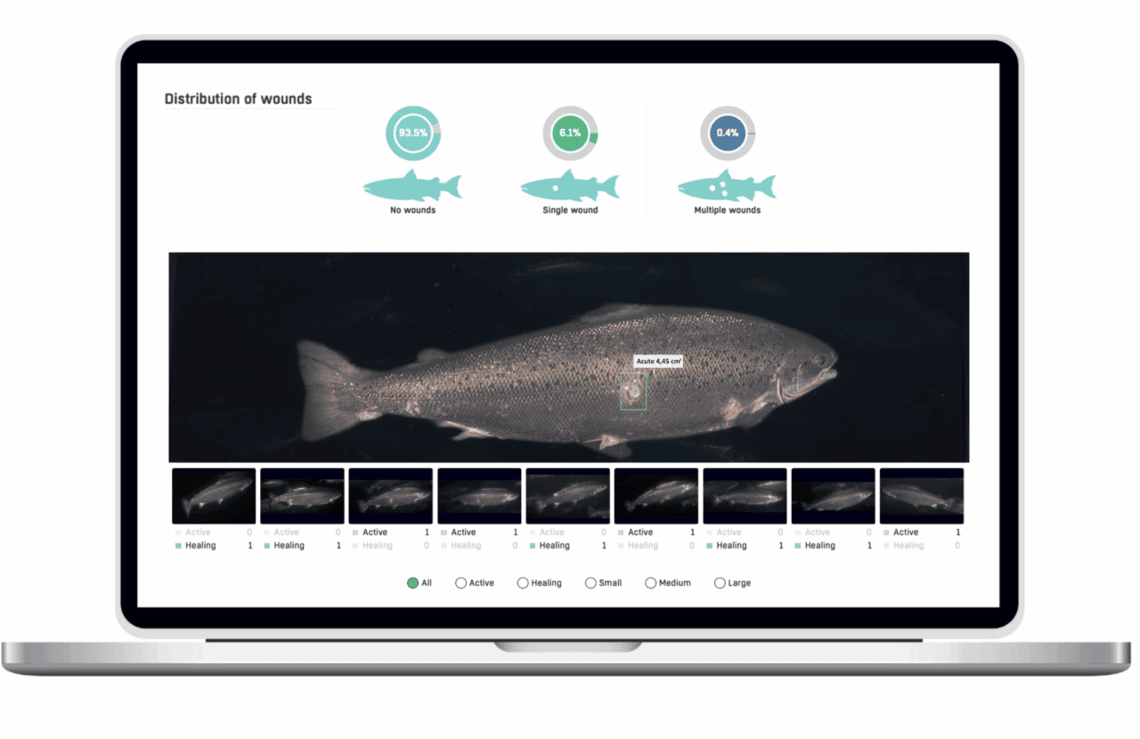 Front page salmon | OptoScale